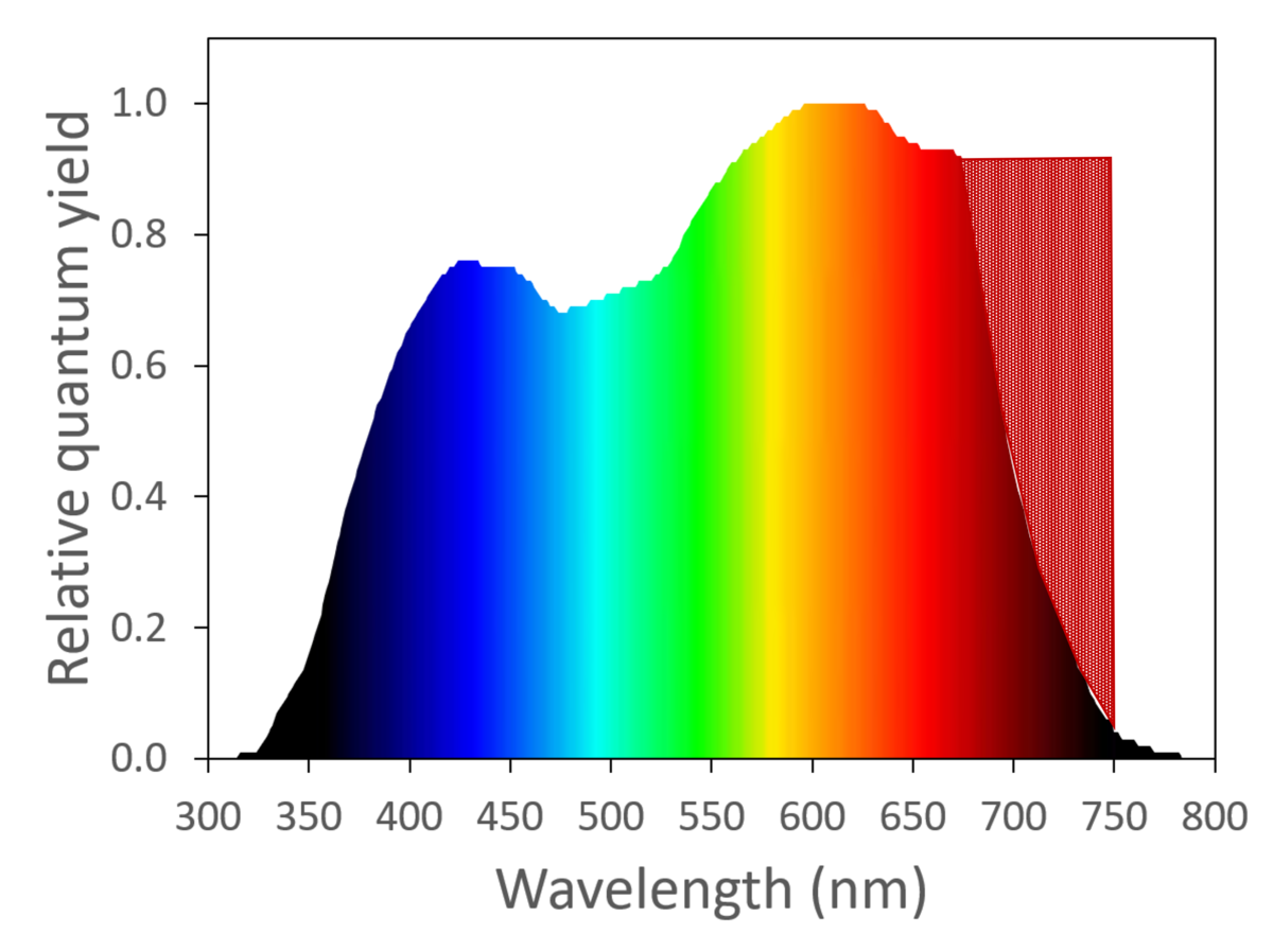 Spectral effects on photosynthesis | Horticultural Physiology